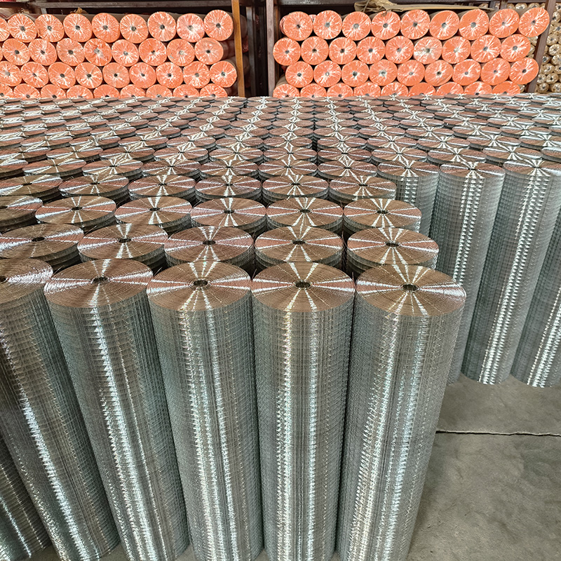 Welded Wire Mesh