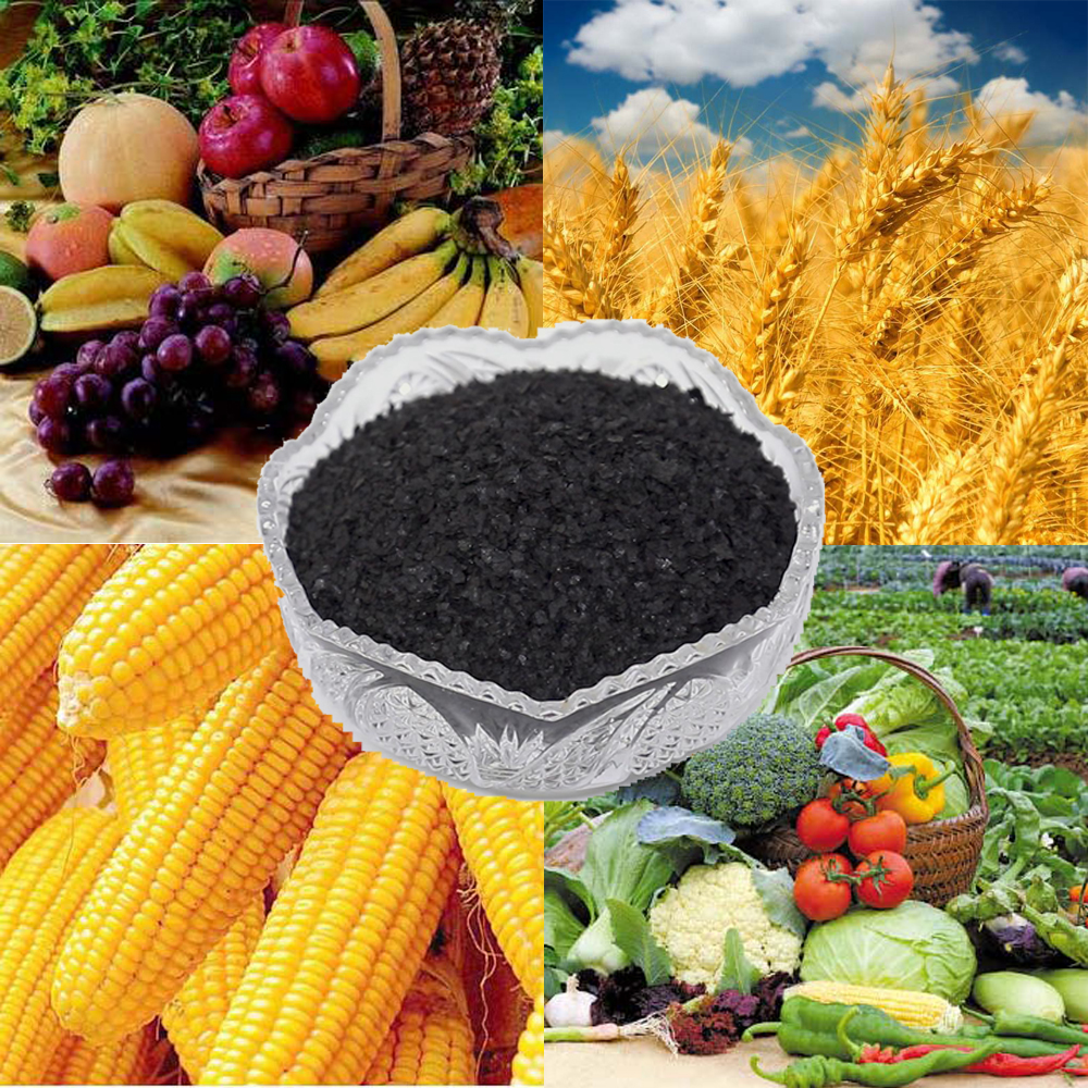 Humic acid Potassium humate Black Shiny Flakes or powder
