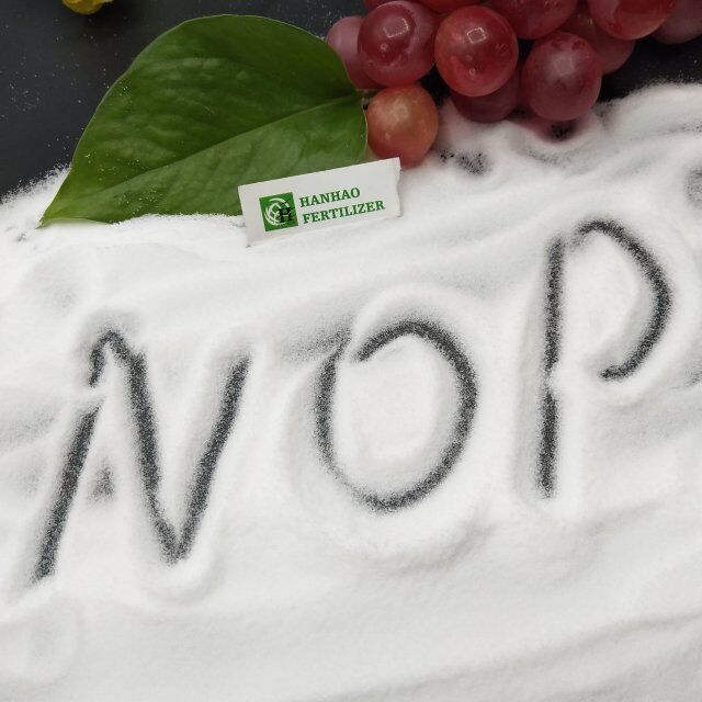 Nitrate of Potassium Powder KNO3 Fertilizer